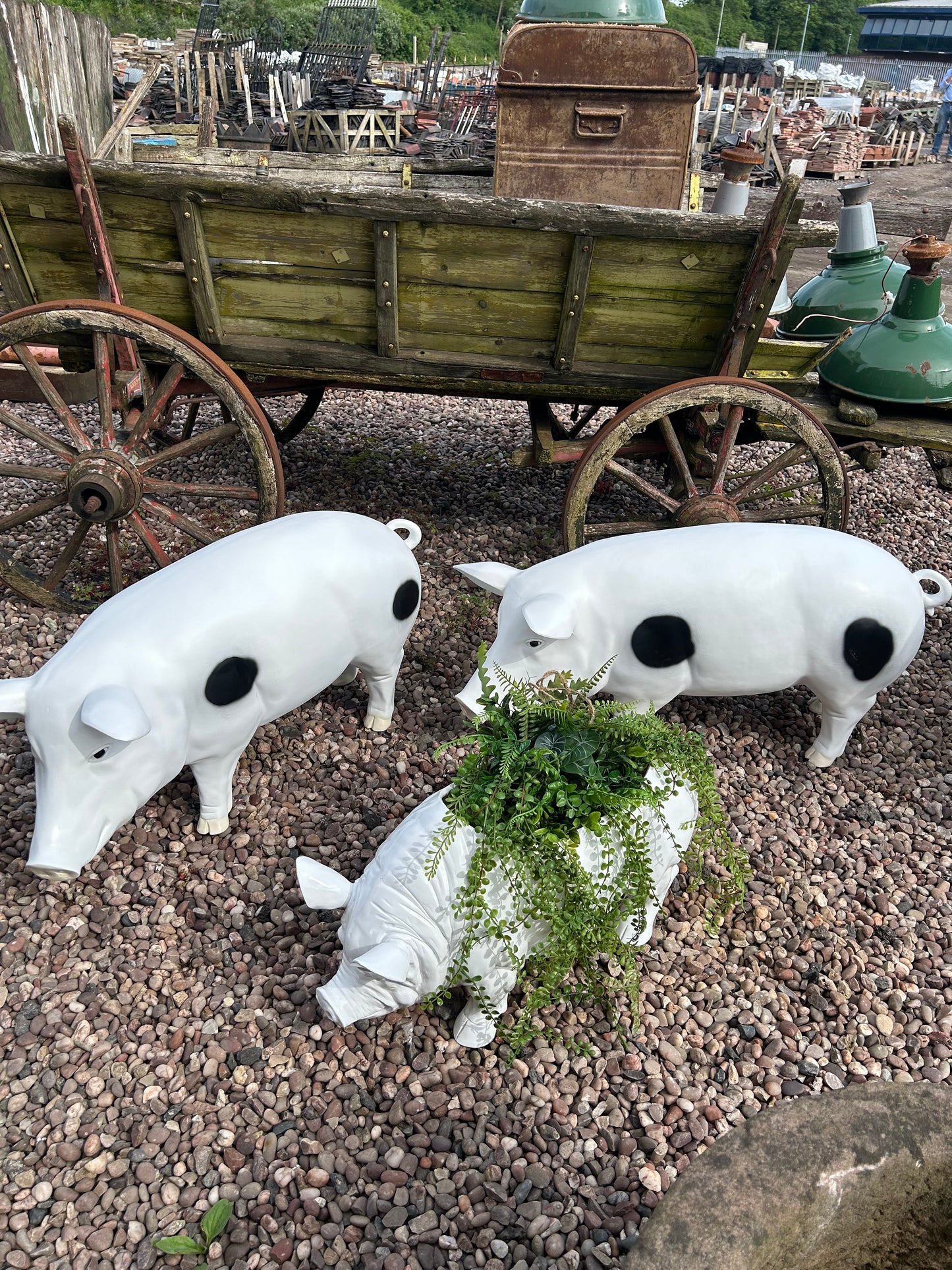 Extra Large Bright White Pig Planter – Sign of the times Stoke